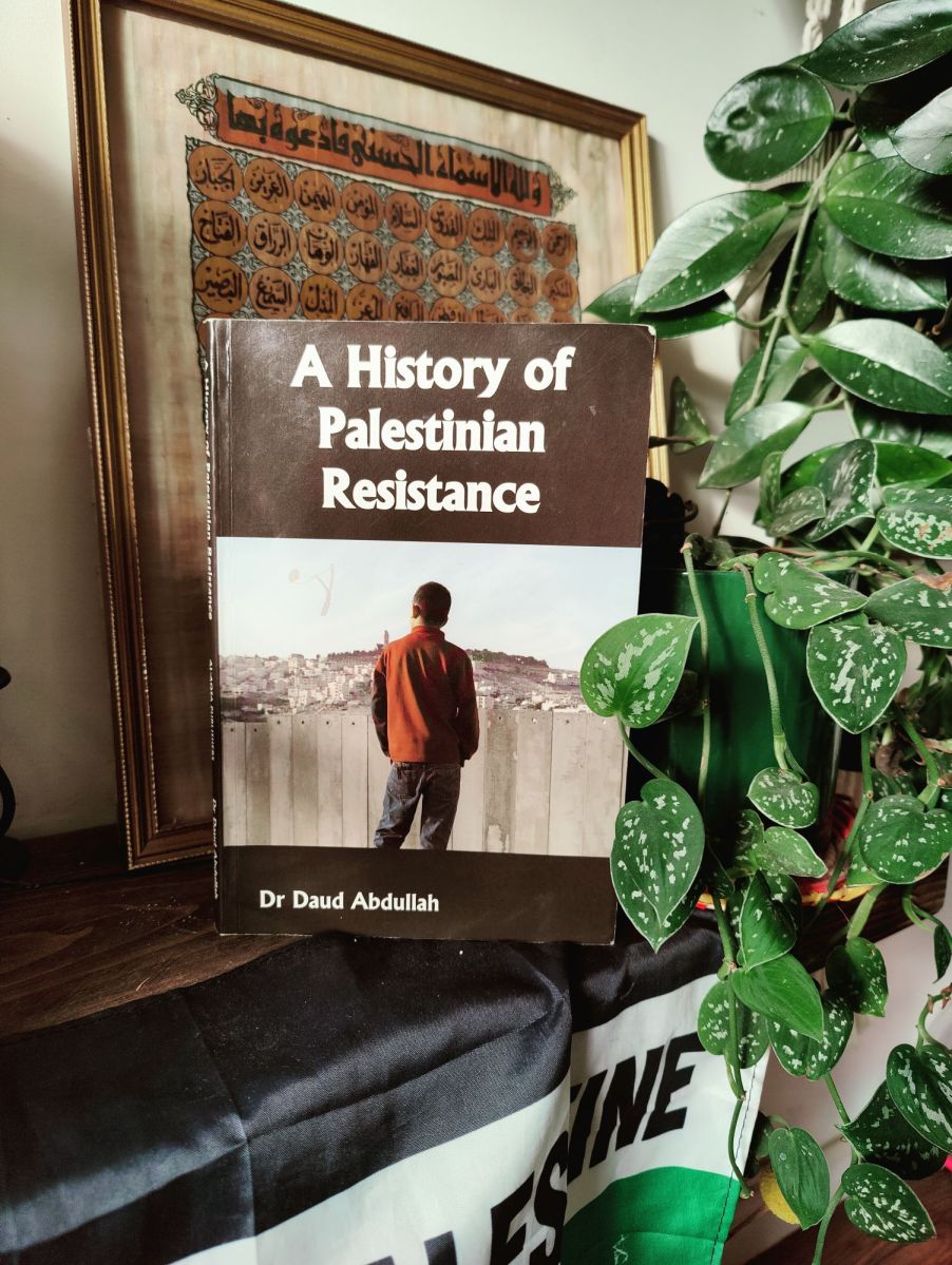 A History of Palestinian Resistance by Dr Daud Abdullah – This Hybrid Reads